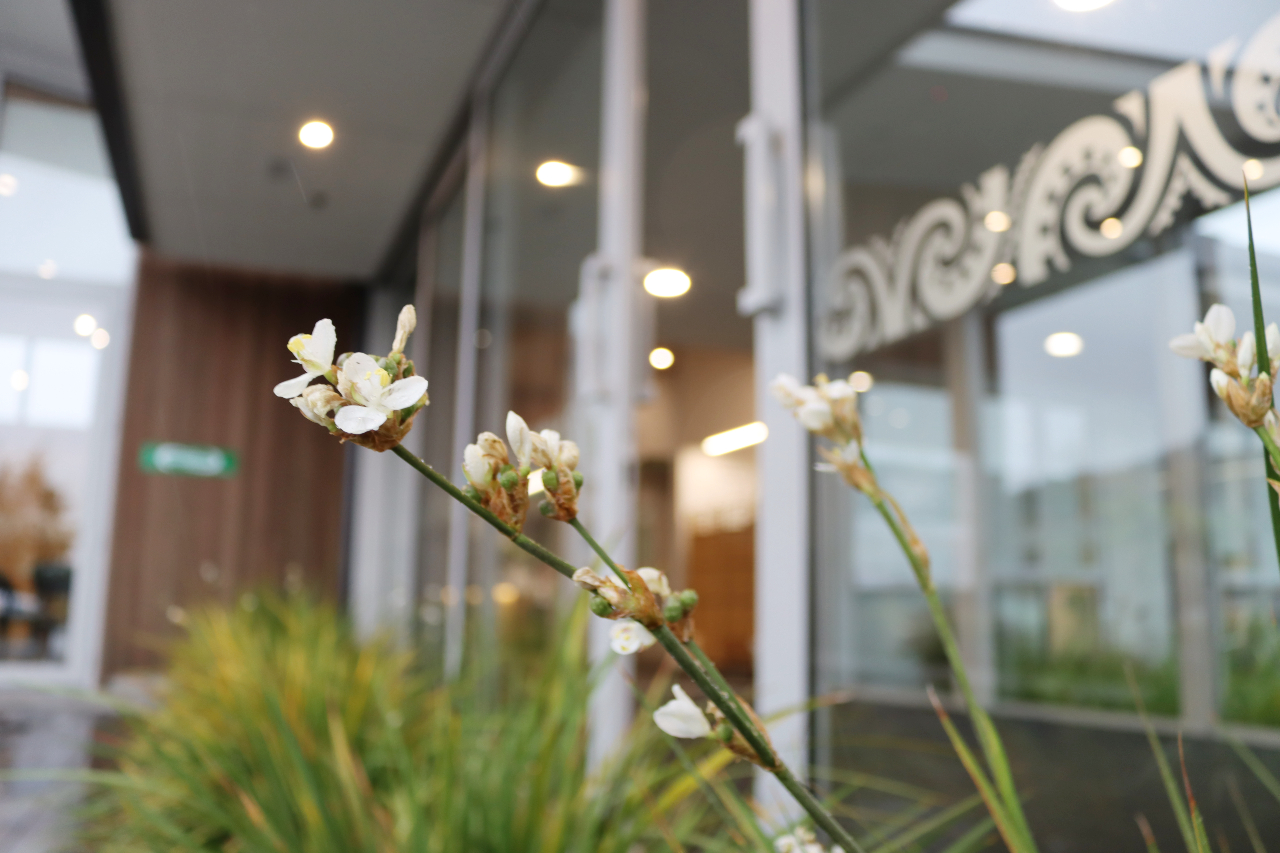 Nelson Tasman Hospice